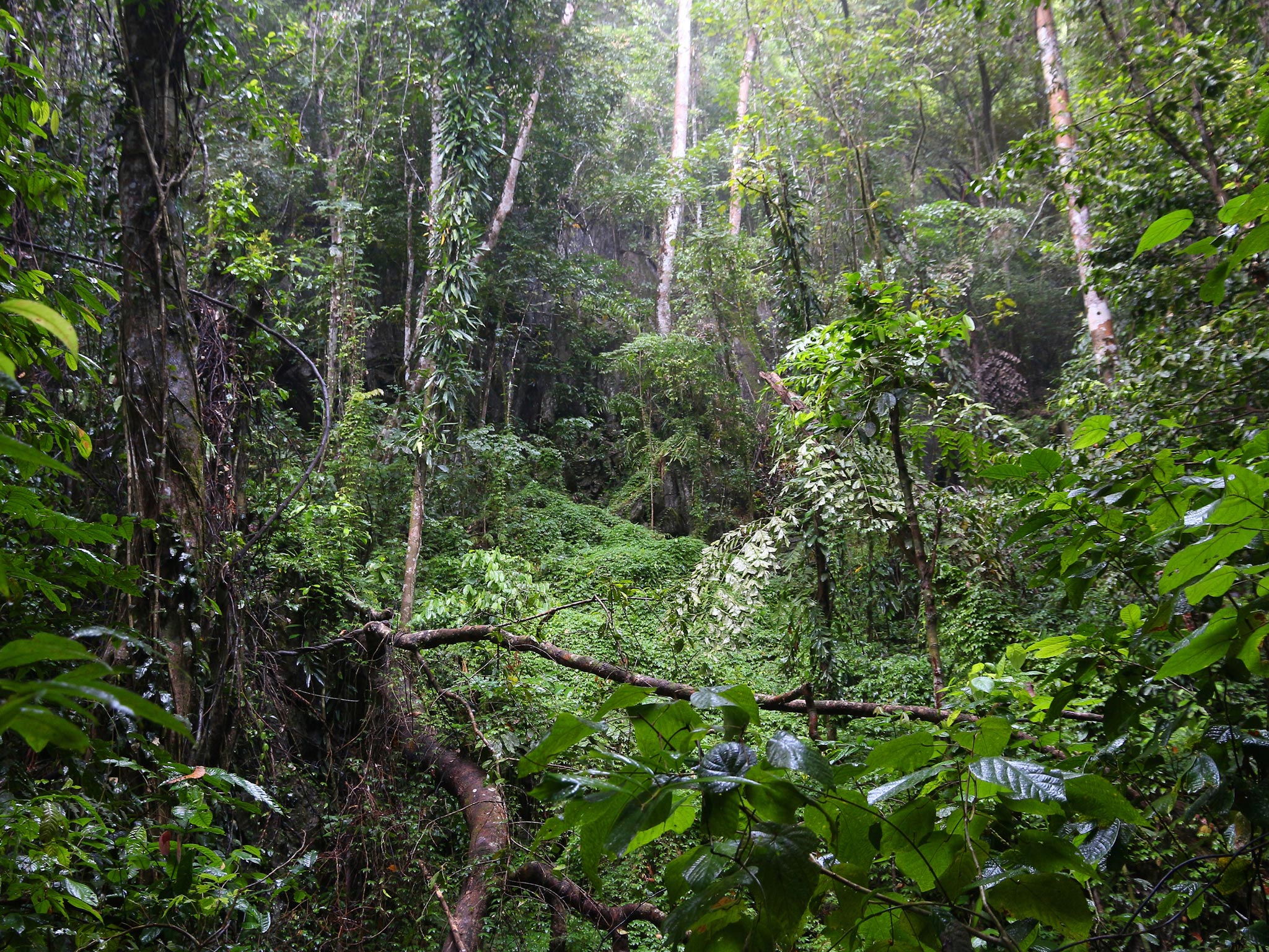 Cruises to Subic Bay: Deals & Bookings | Costa Cruises